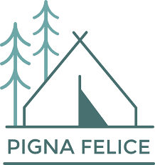 Over ons - Reisplaatje