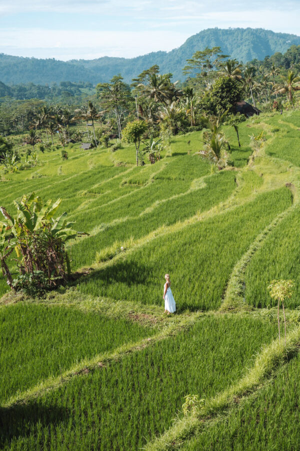 Route Bali: dit is de ideale reisroute in 2 tot 3 weken - Reisplaatje