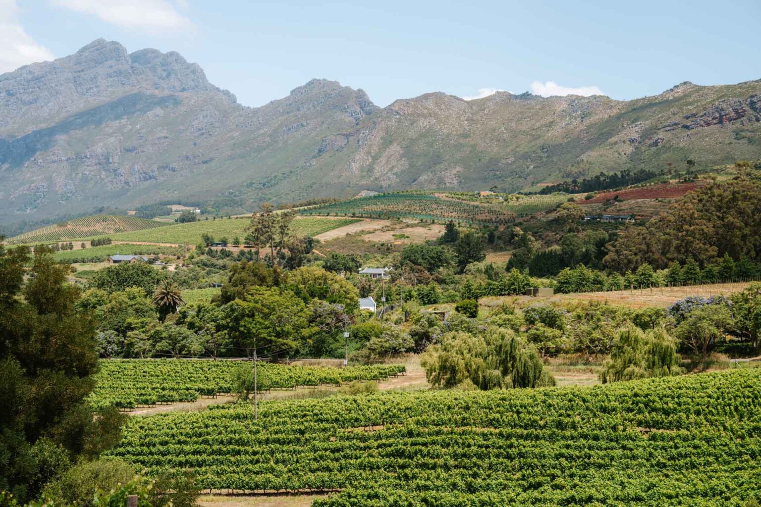 9 Tips voor Stellenbosch en Franschhoek in Zuid-Afrika - Reisplaatje